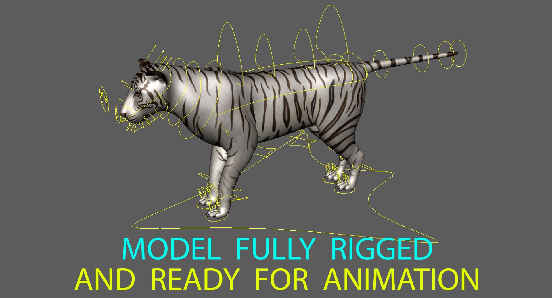 White Tiger 3d Obj