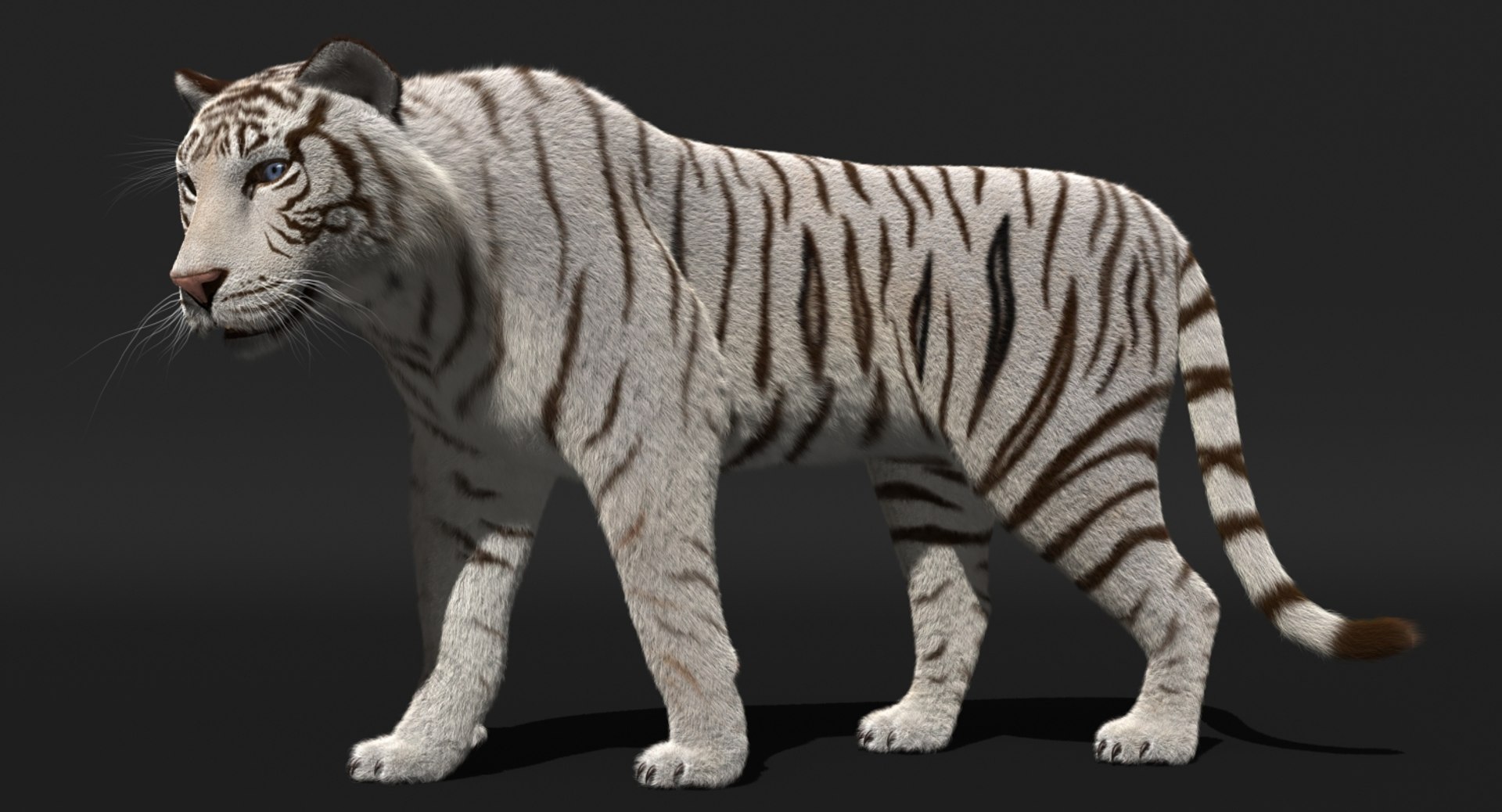 White Tiger 3d Obj