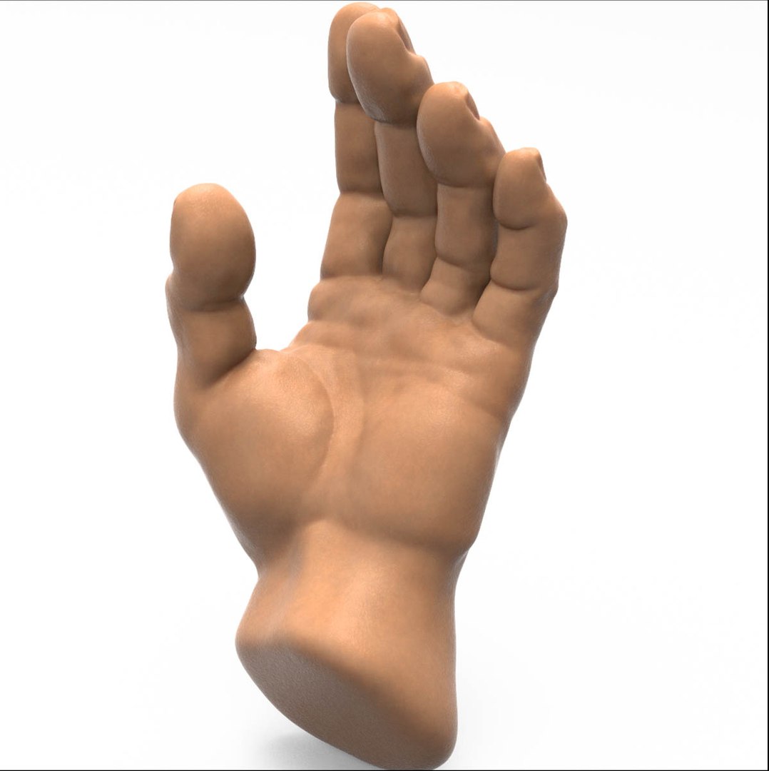 3D Model Human Hand - TurboSquid 1378368