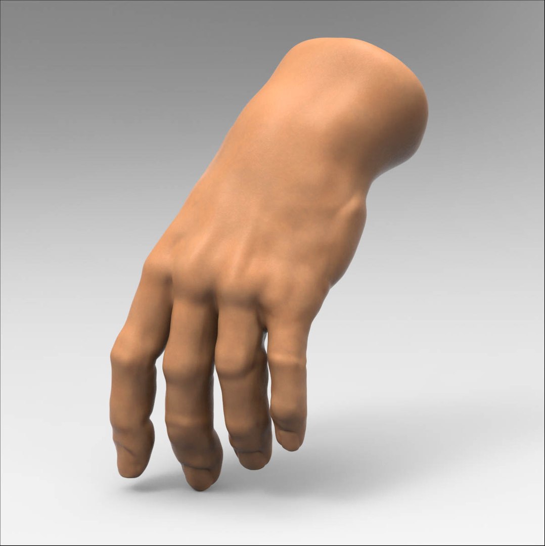 3D Model Human Hand - TurboSquid 1378368