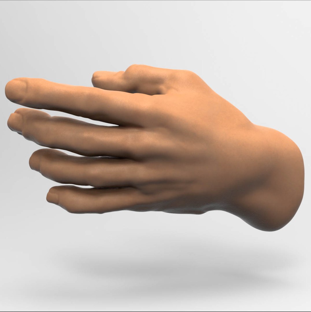 3D Model Human Hand - TurboSquid 1378368
