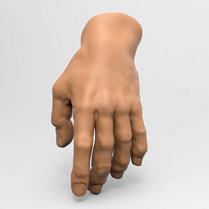 3D Human Hand - TurboSquid 1378362