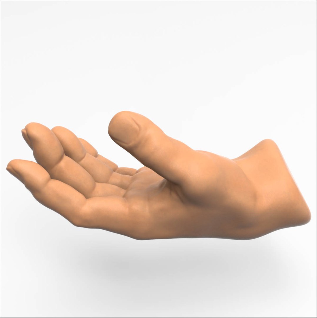 3D Model Human Hand - TurboSquid 1378368