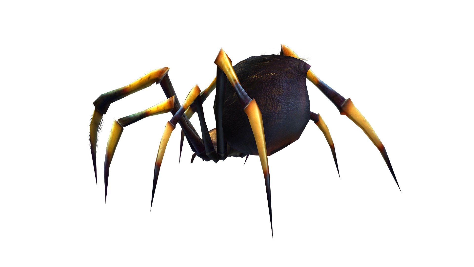 Animated Spider 3D Model - TurboSquid 2152925