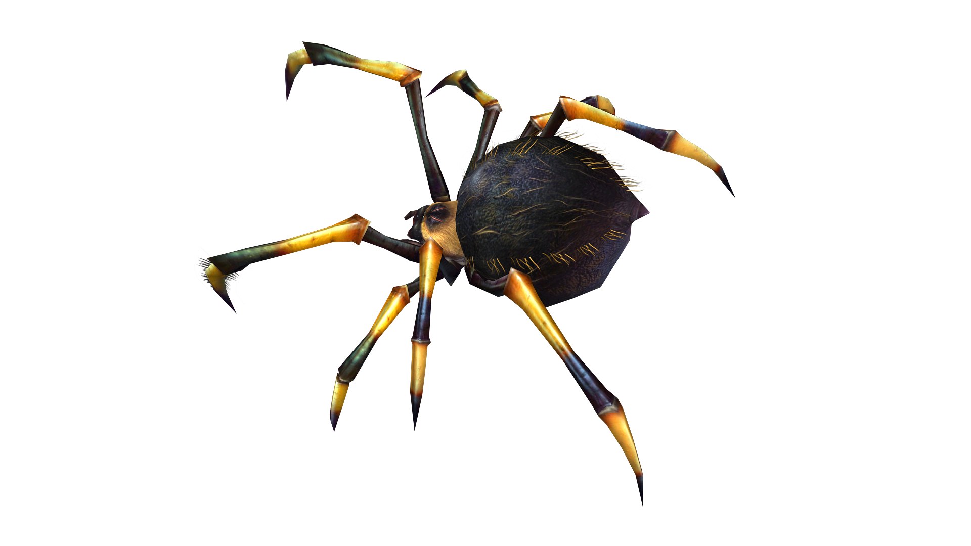 Animated Spider 3D Model - TurboSquid 2152925
