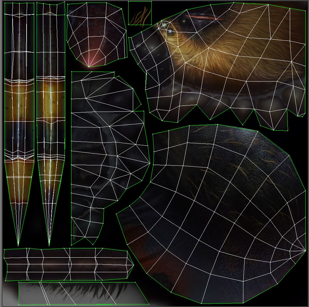Animated Spider 3D Model - TurboSquid 2152925