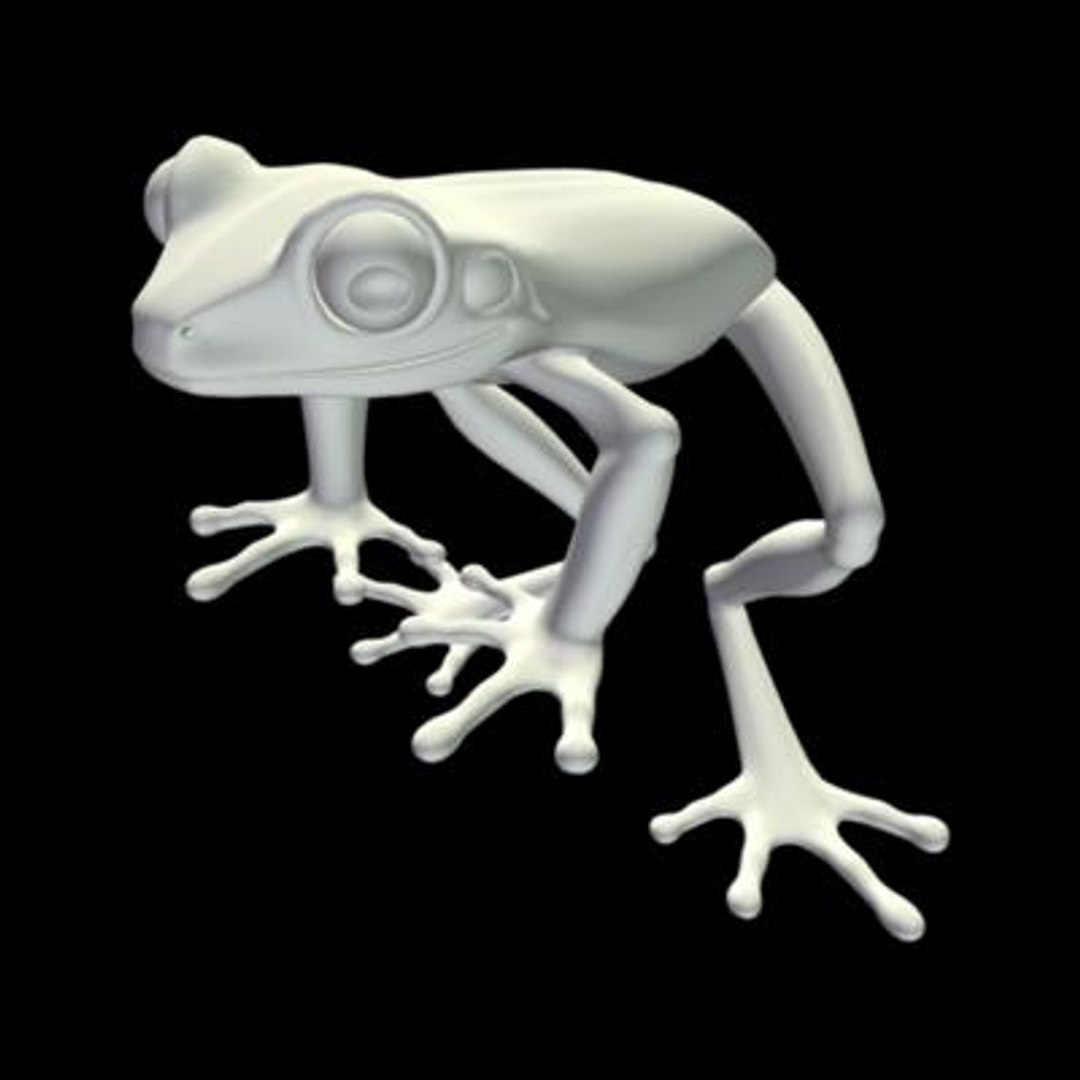 Frog 3d Model