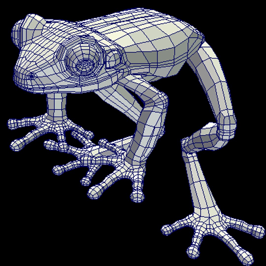 Frog 3d Model