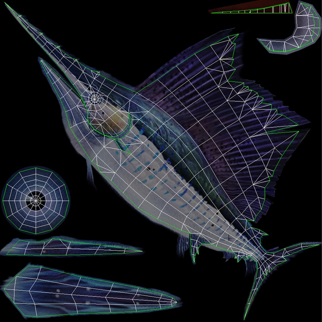 3D Sailfish - TurboSquid 2175961