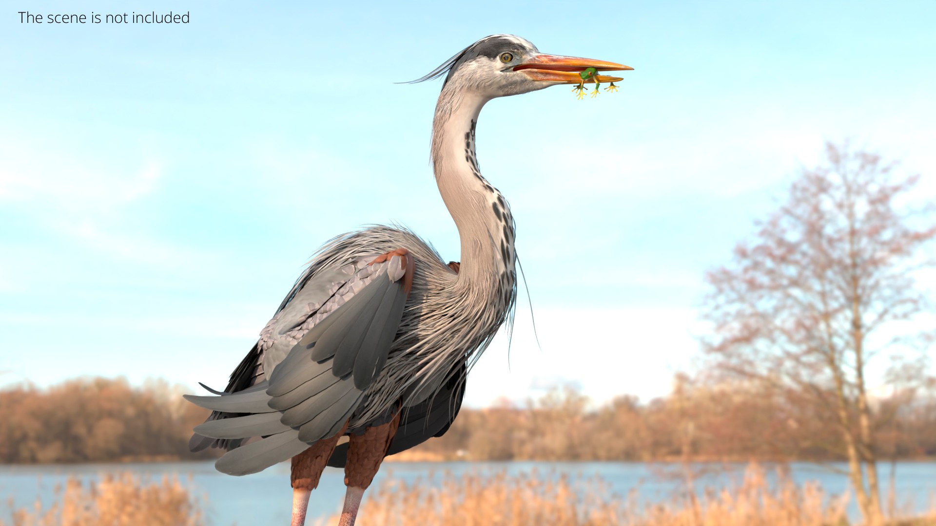 3D Predatory Heron With Frog For Blender - TurboSquid 2503629
