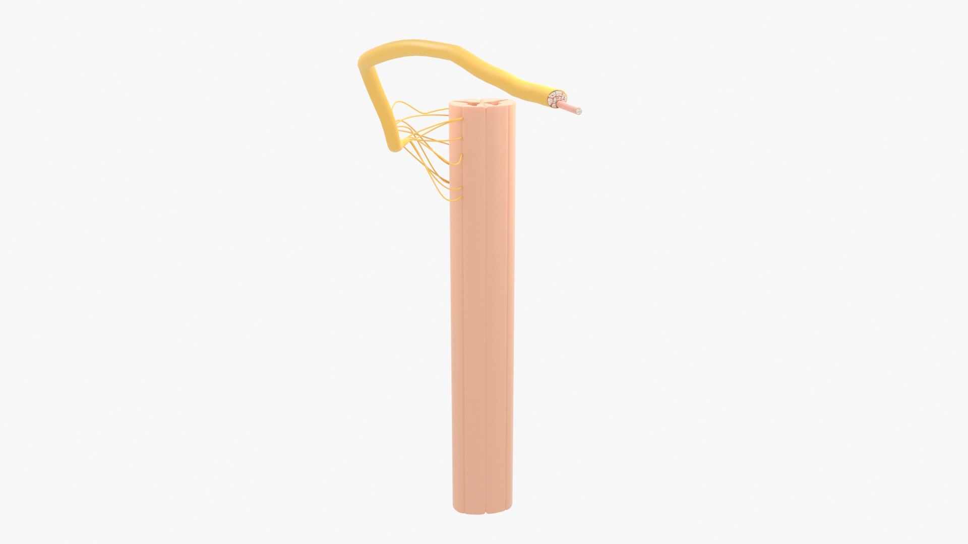 3D Nerve Anatomy Model - TurboSquid 1430996