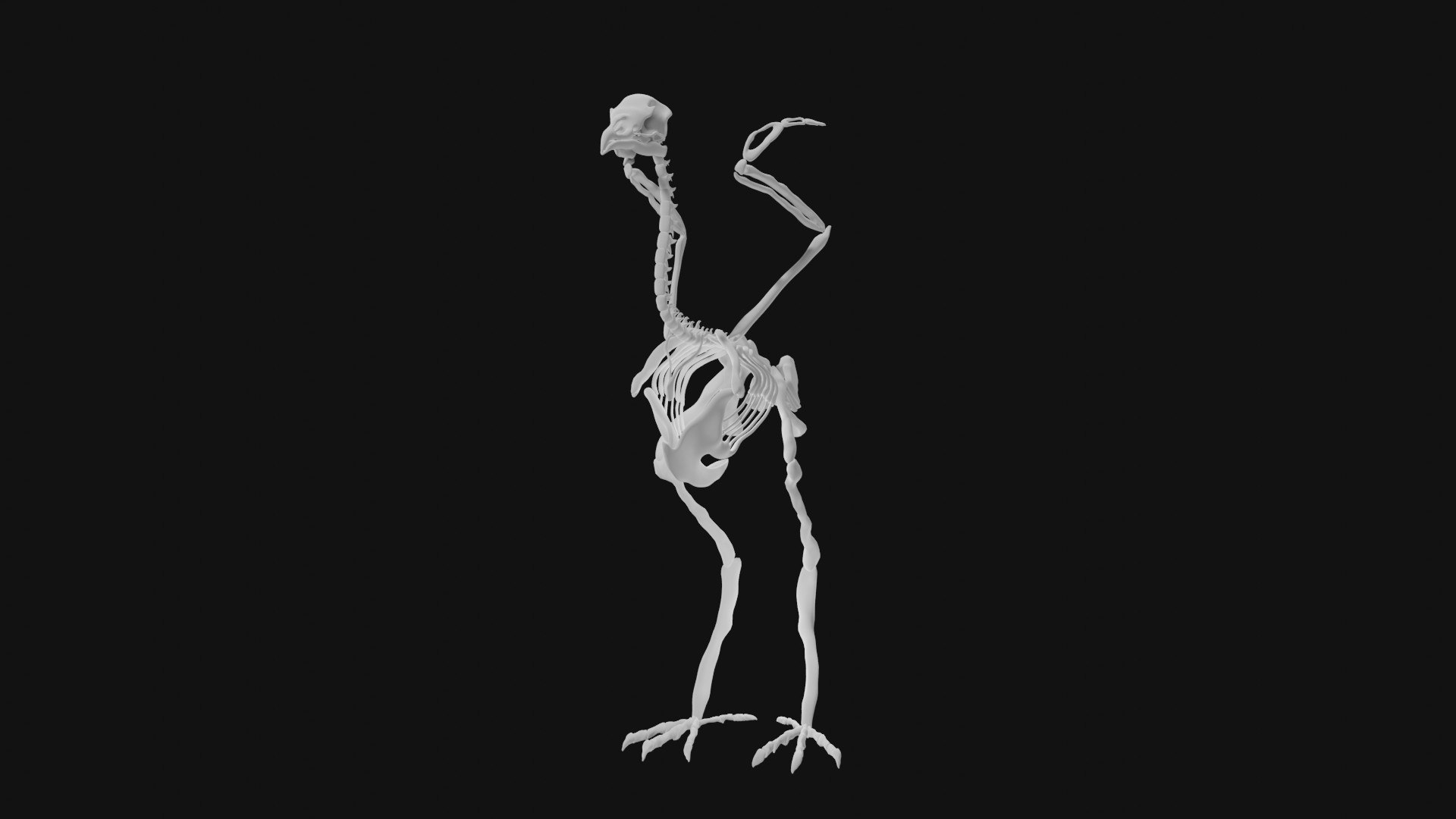 Peacock Skeleton Model - TurboSquid 1990990