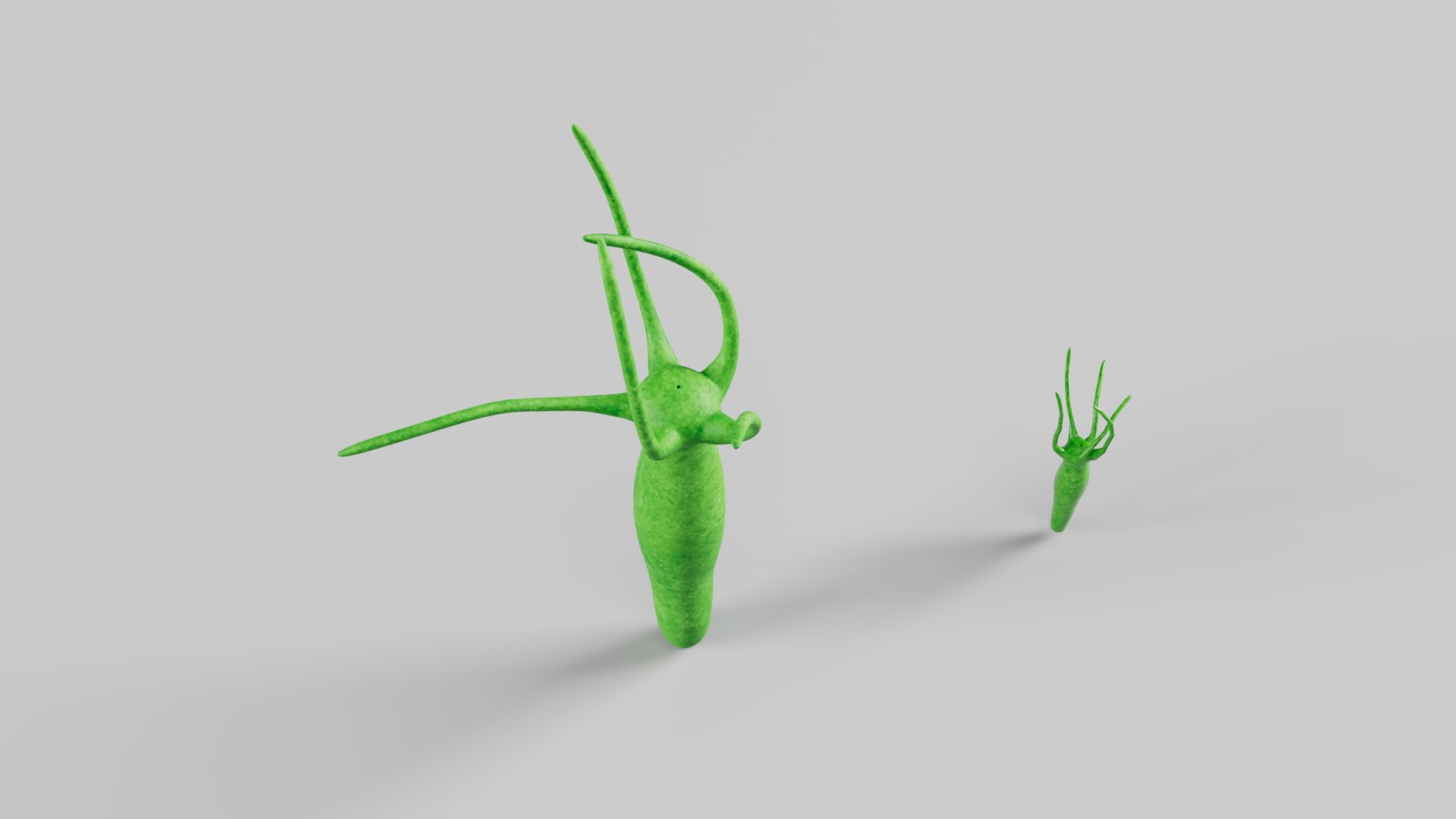 modelo 3d Budding-Animation - TurboSquid 2014607