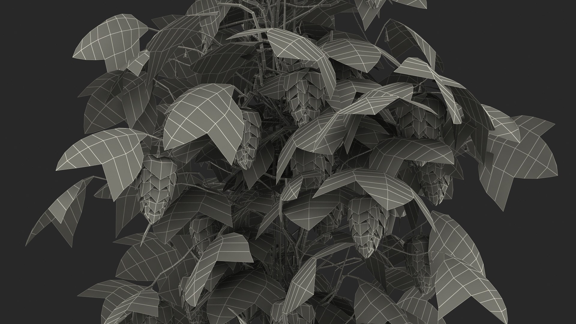 Green growing hops plant 3D model - TurboSquid 1441054
