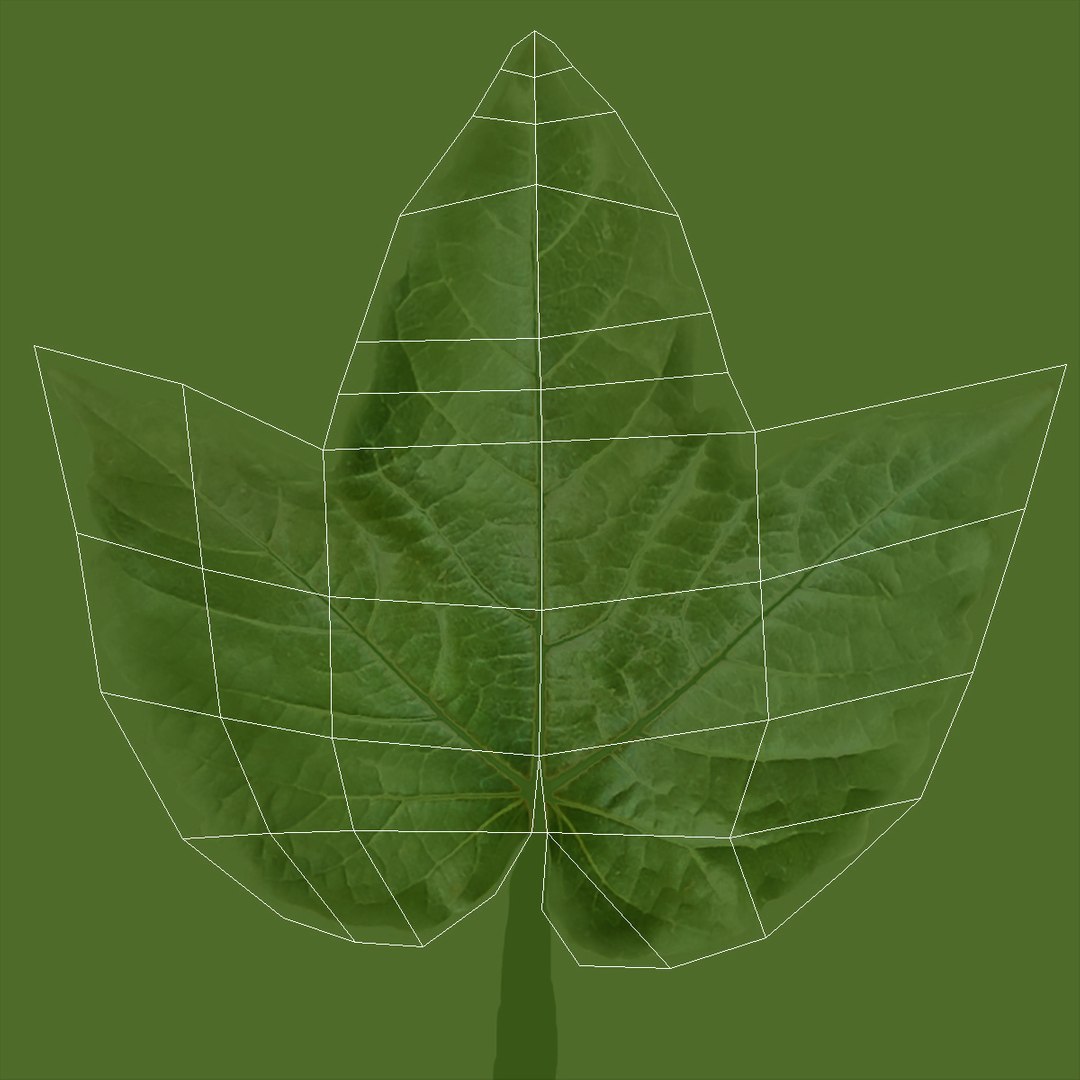 Green Growing Hops Plant 3D Model - TurboSquid 1441054