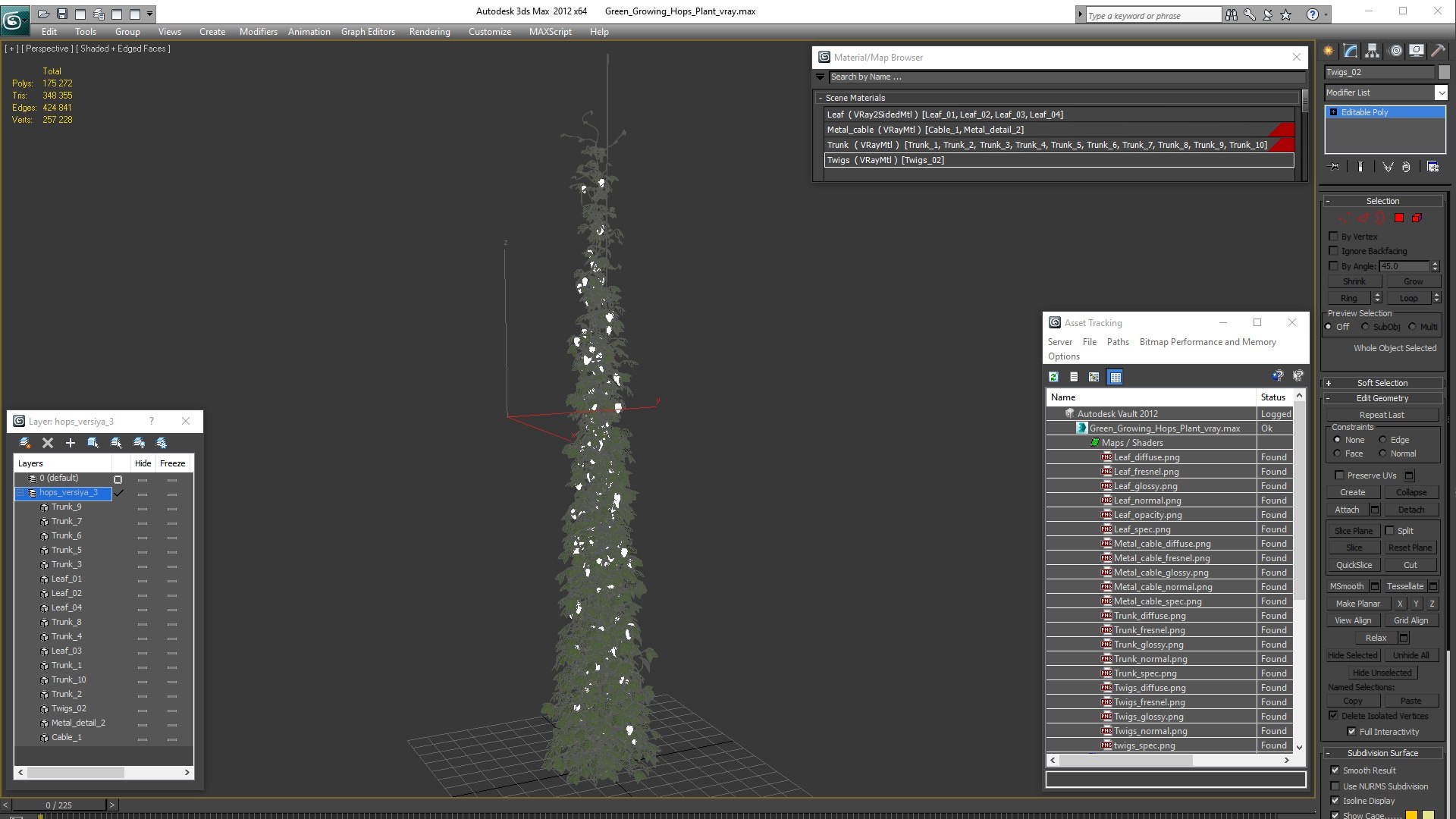 Green growing hops plant 3D model - TurboSquid 1441054