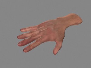 Hand 3D Models for Download | TurboSquid