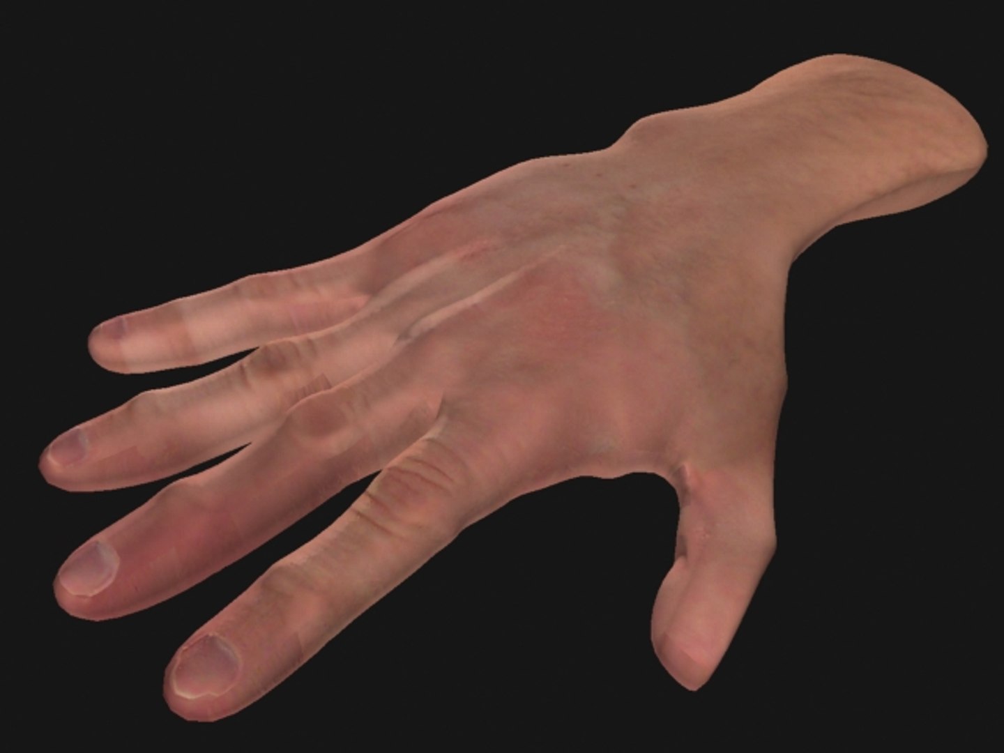 3d Human Male Hand Model