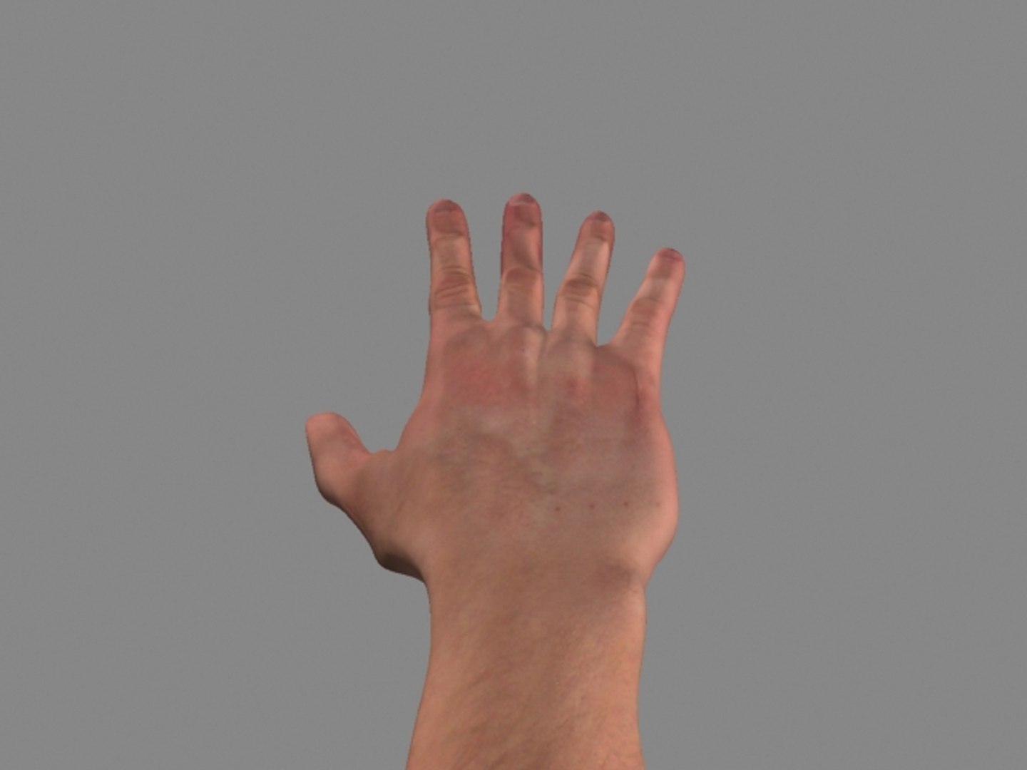 3d Human Male Hand Model