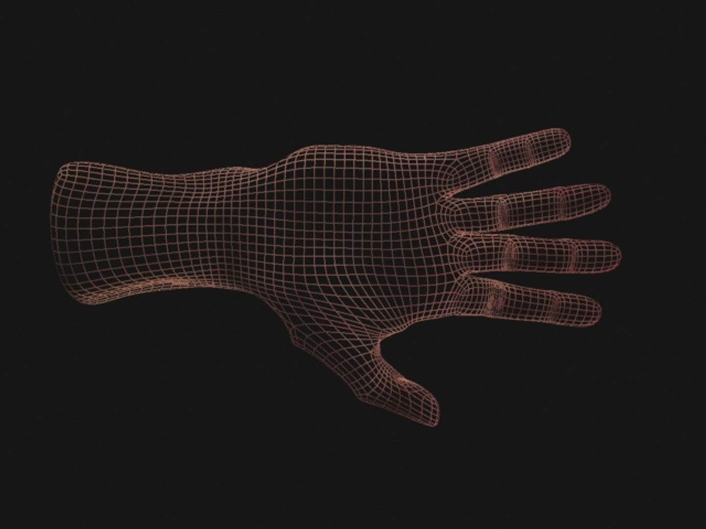 3d Human Male Hand Model