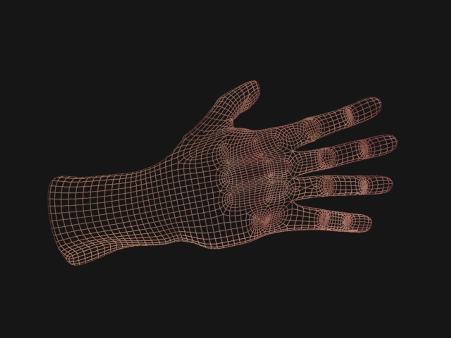 3d Human Male Hand Model
