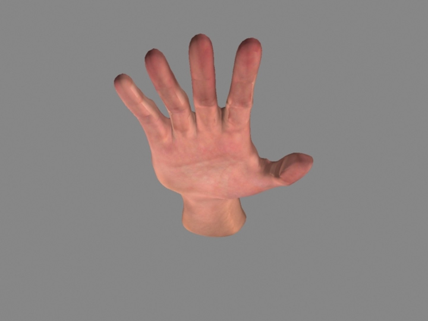 3d Human Male Hand Model