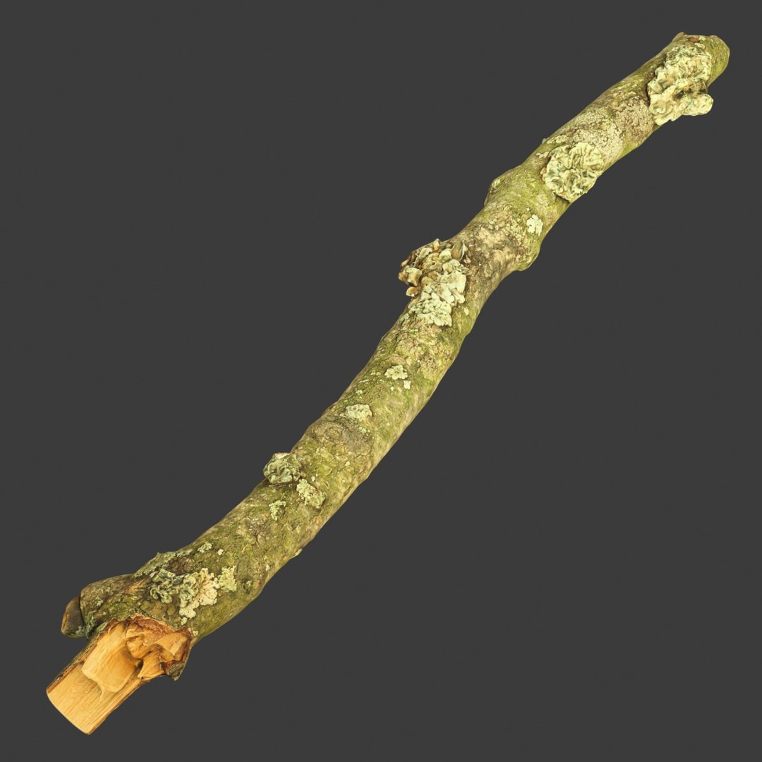 3D Realistic Branch 01 Model - TurboSquid 1217343