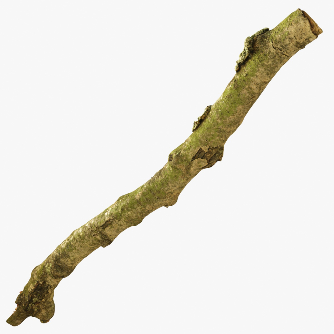 3D realistic branch 01 model - TurboSquid 1217343