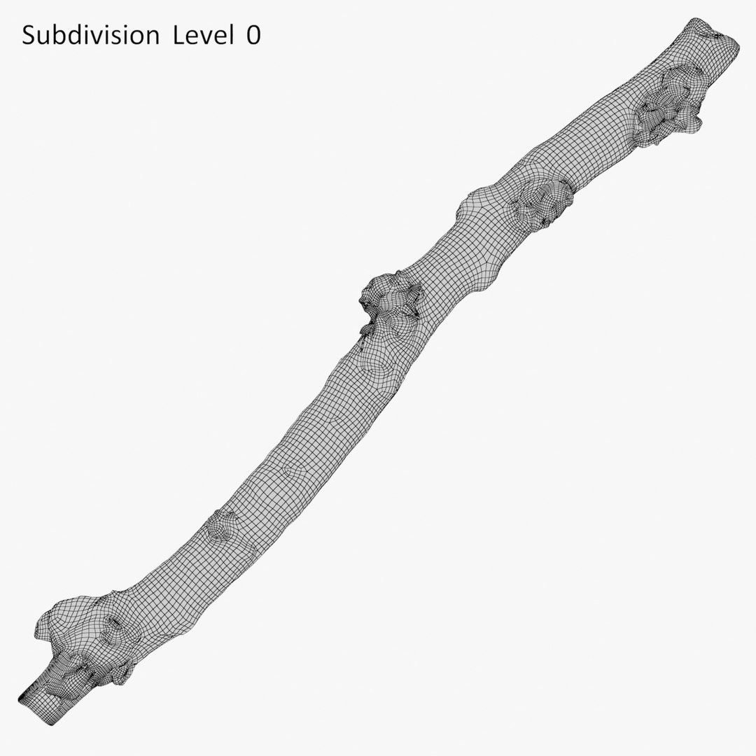 3D Realistic Branch 01 Model - TurboSquid 1217343
