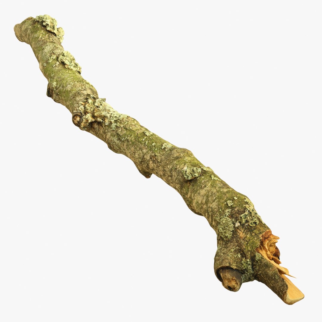 3D Realistic Branch 01 Model - TurboSquid 1217343