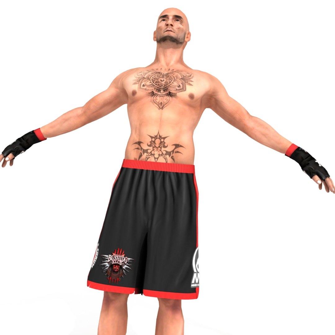 Ufc Fighter Max
