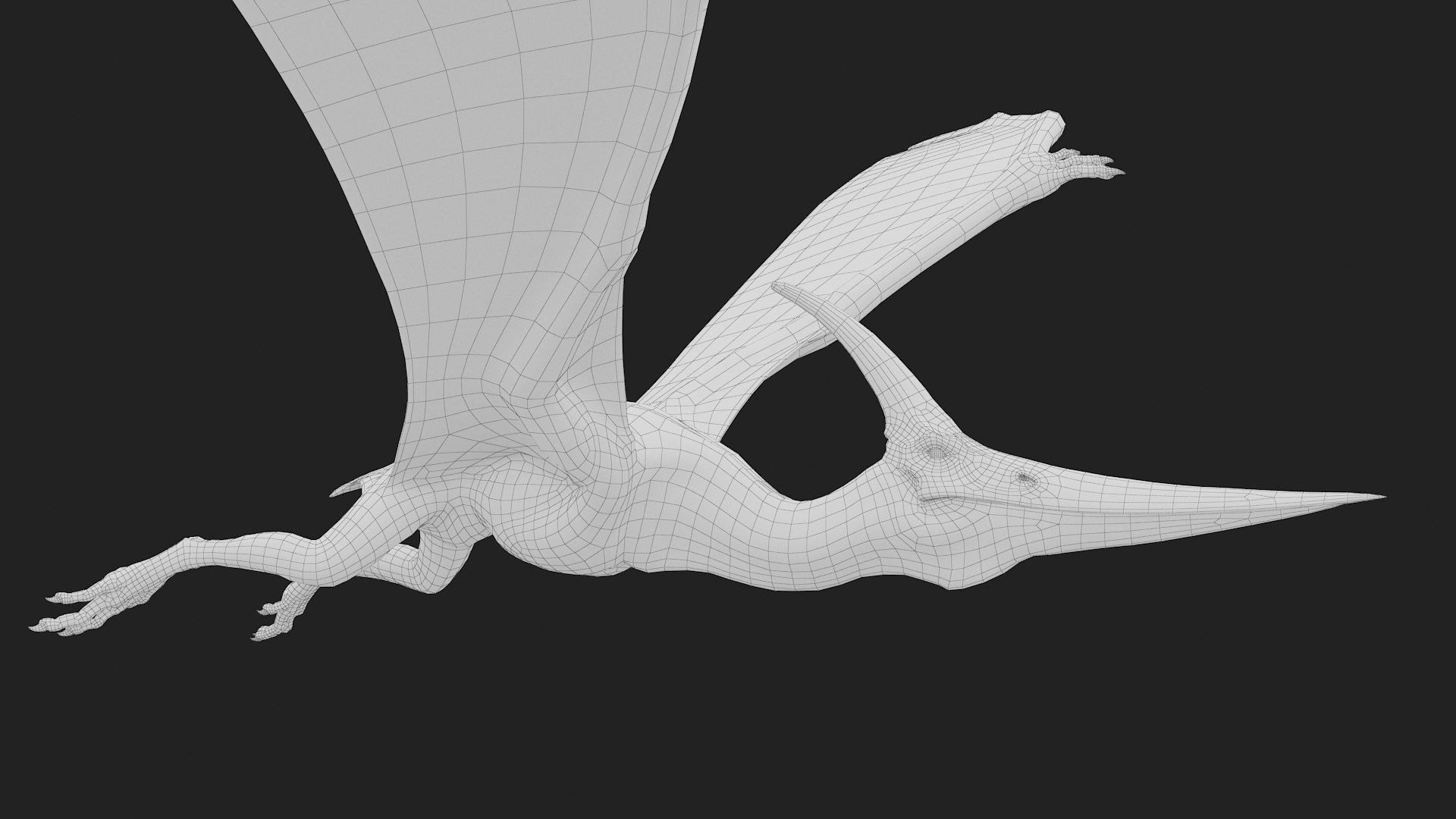Pteranodon Rig Animation Model - TurboSquid 1453953