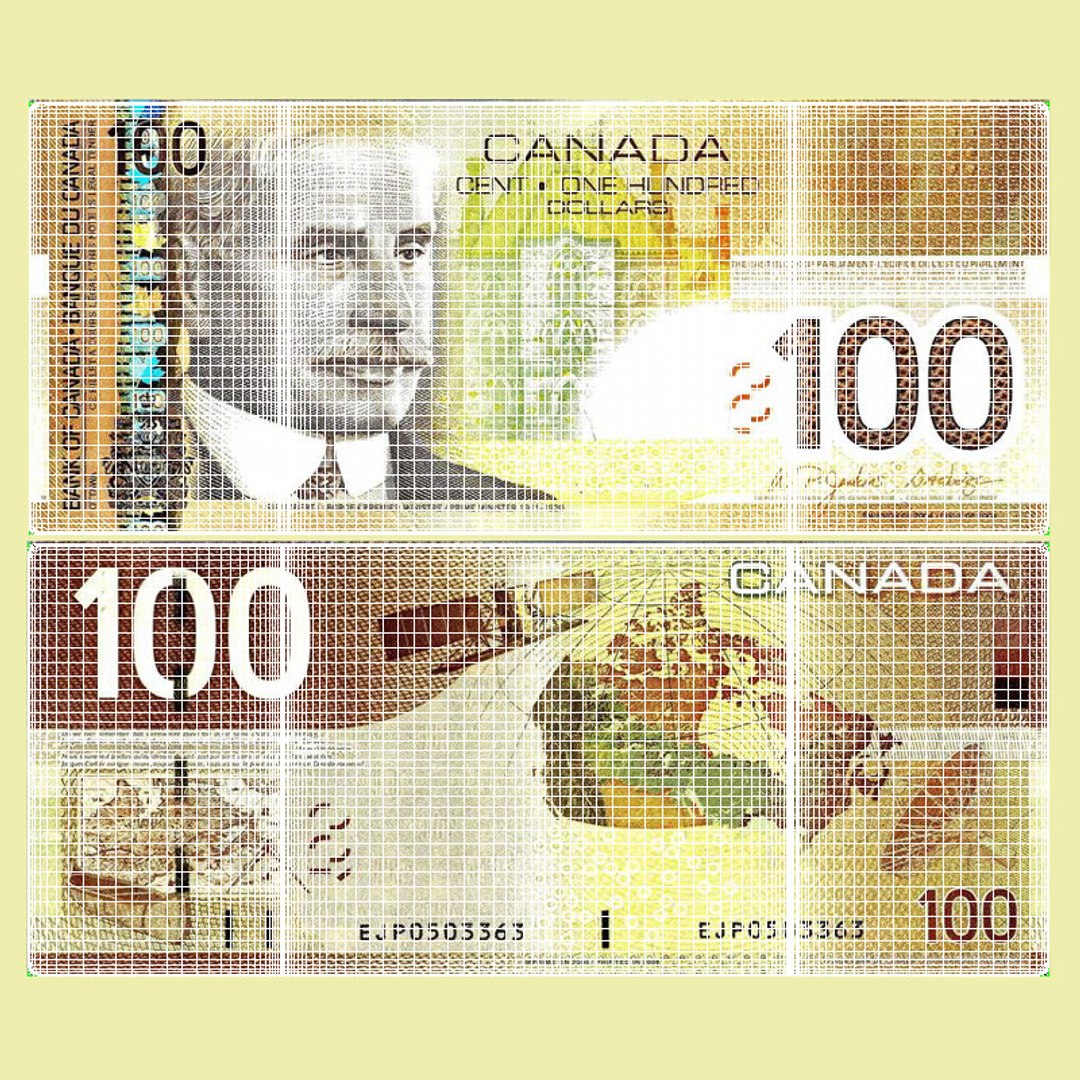 3d 100 Canadian Dollar Note Model