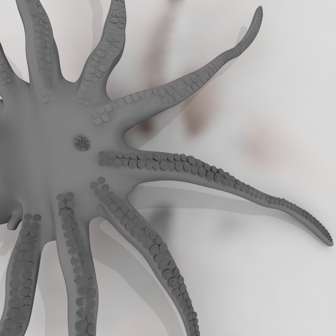 3d model octopus cephalopod mollusc