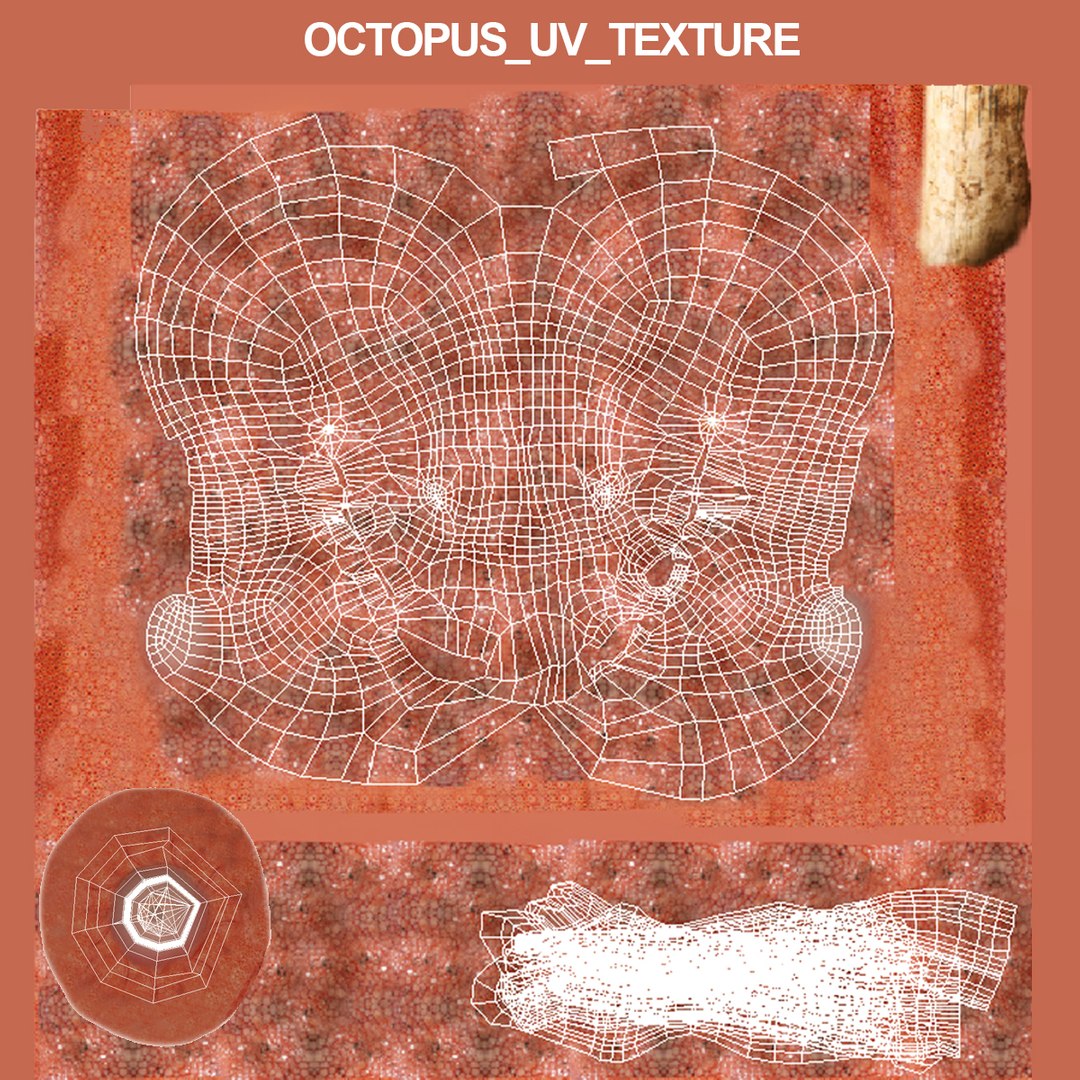 3d model octopus cephalopod mollusc