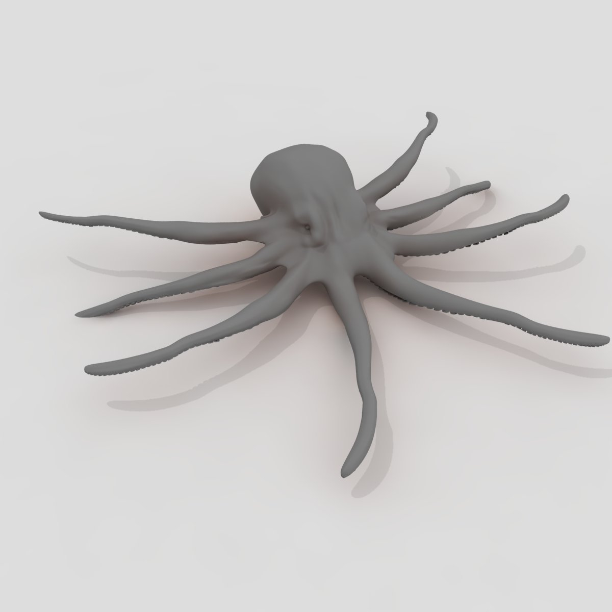 3d model octopus cephalopod mollusc