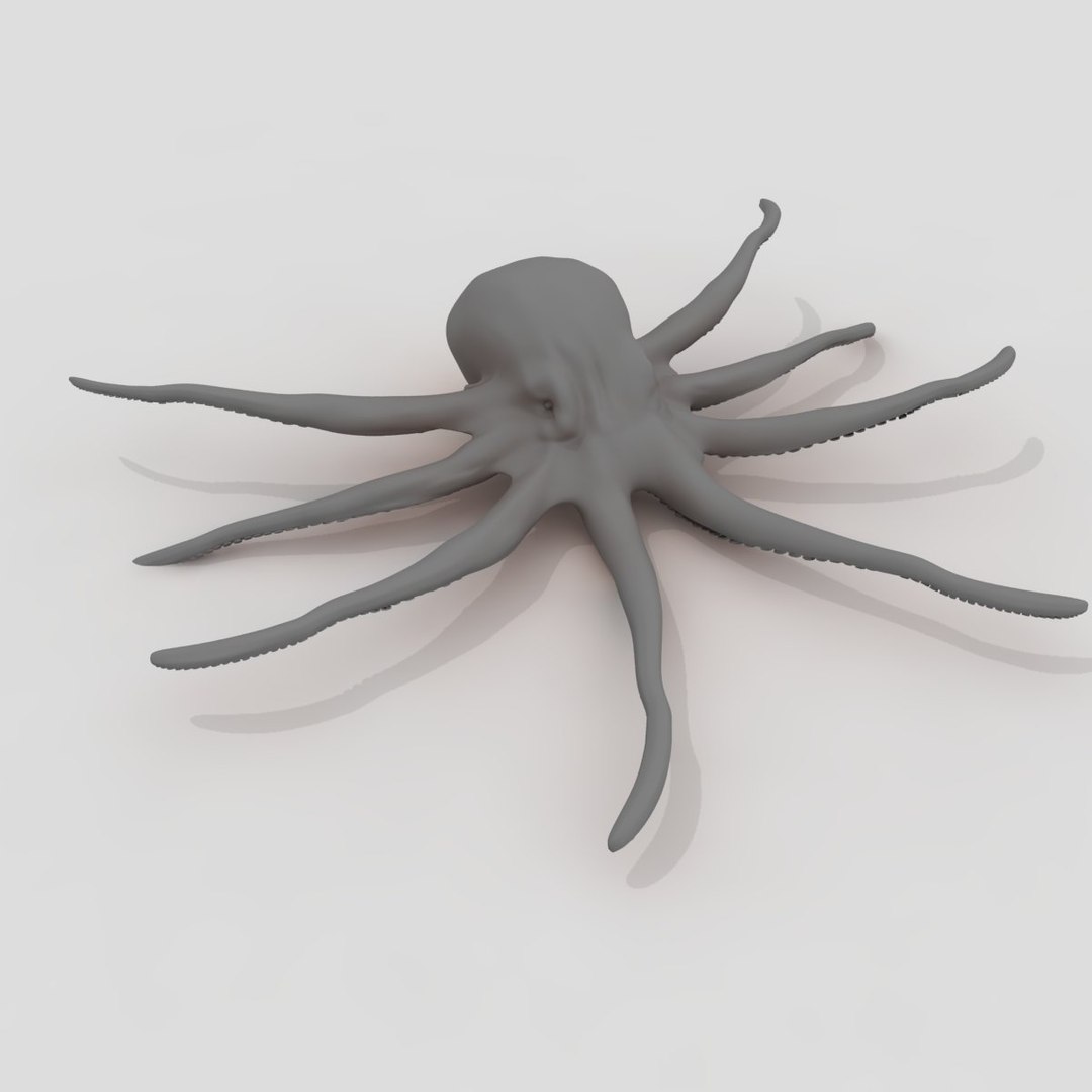 3d model octopus cephalopod mollusc