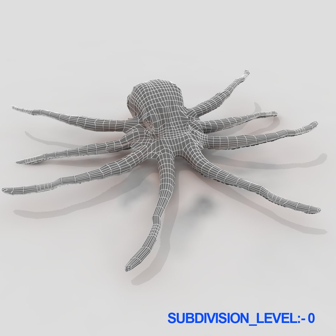 3d model octopus cephalopod mollusc