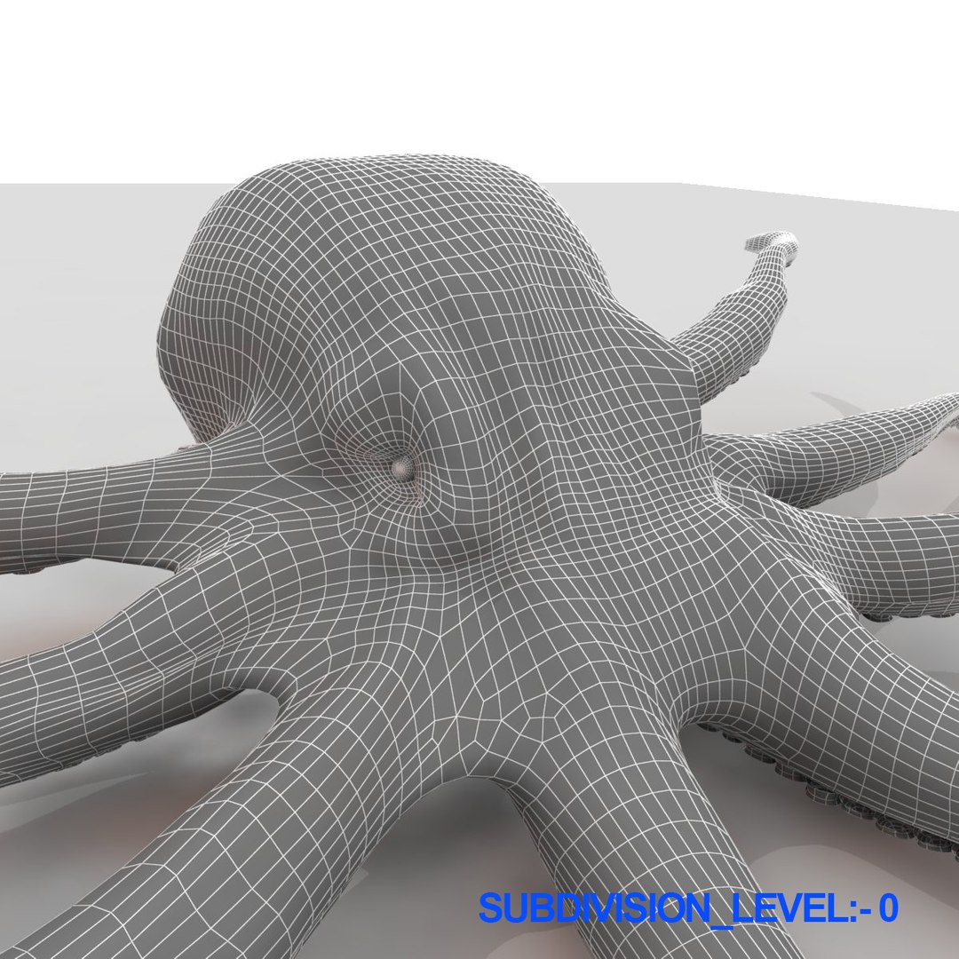 3d model octopus cephalopod mollusc