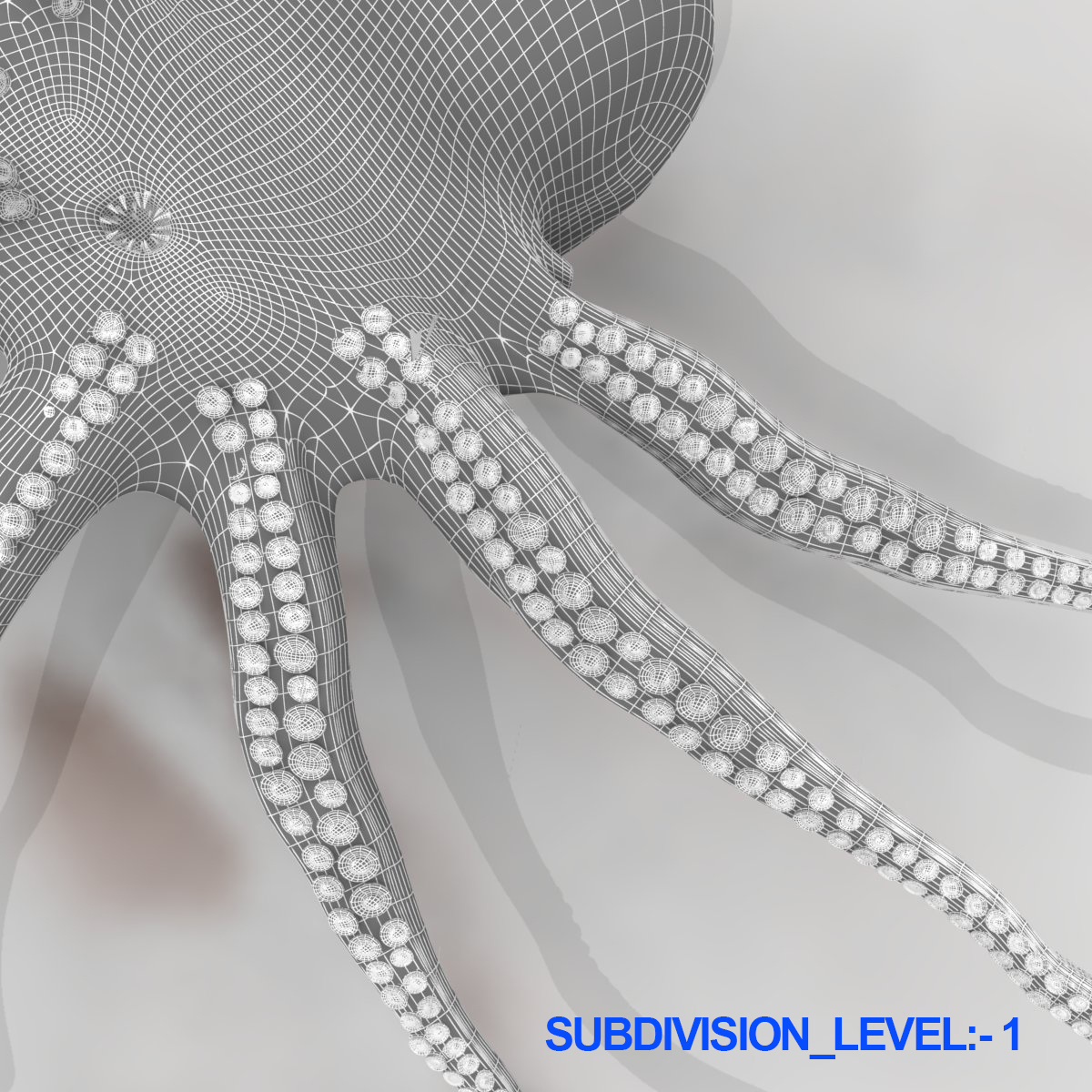 3d model octopus cephalopod mollusc
