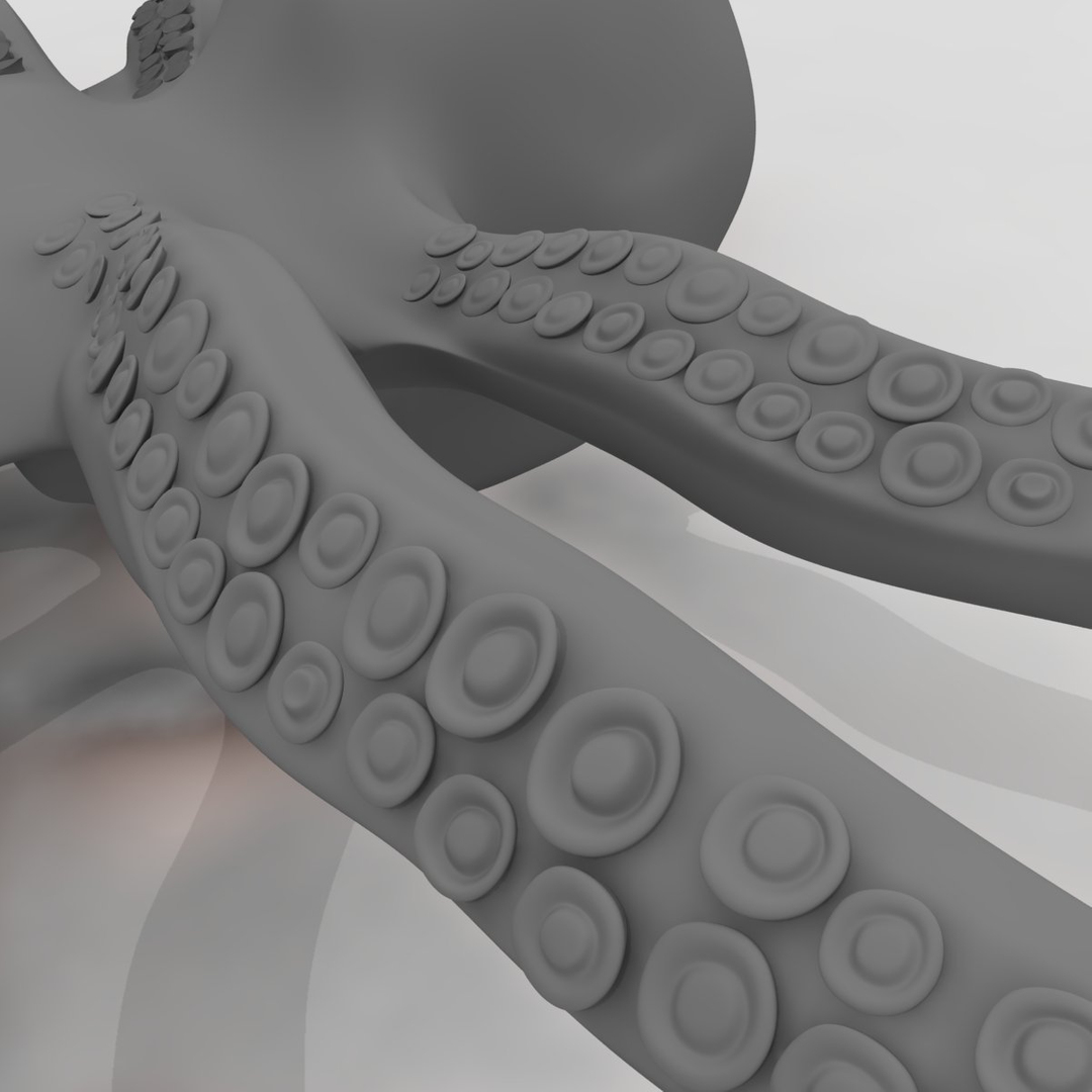 3d model octopus cephalopod mollusc