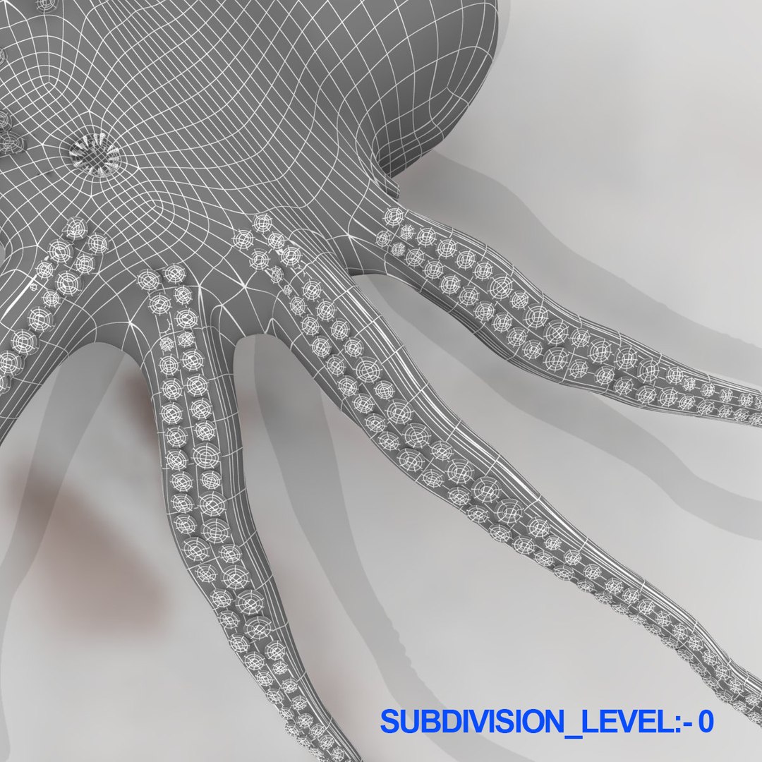 3d model octopus cephalopod mollusc