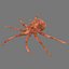 3d model octopus cephalopod mollusc