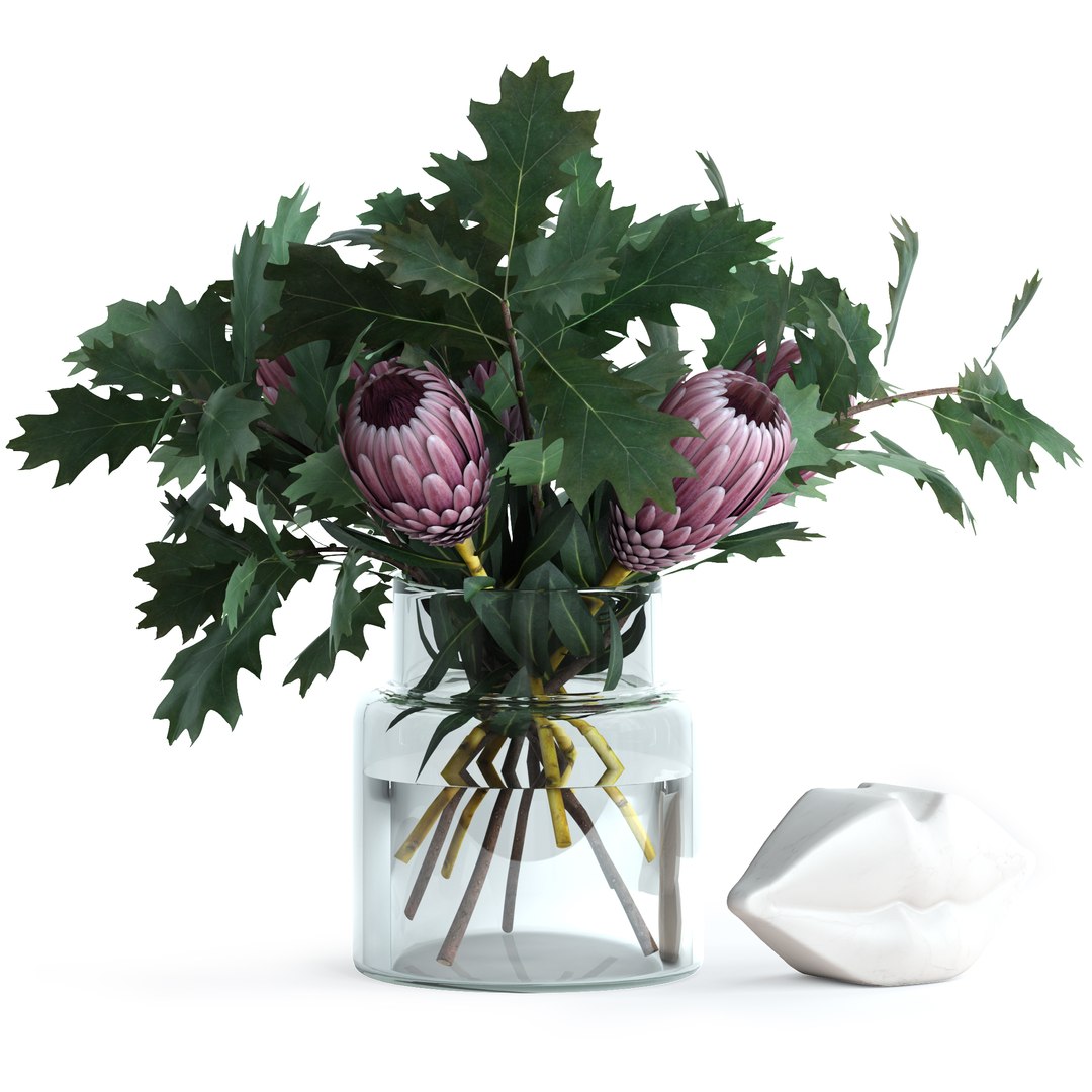 3D Realistic Glass Oak Proteas Model - TurboSquid 1226448