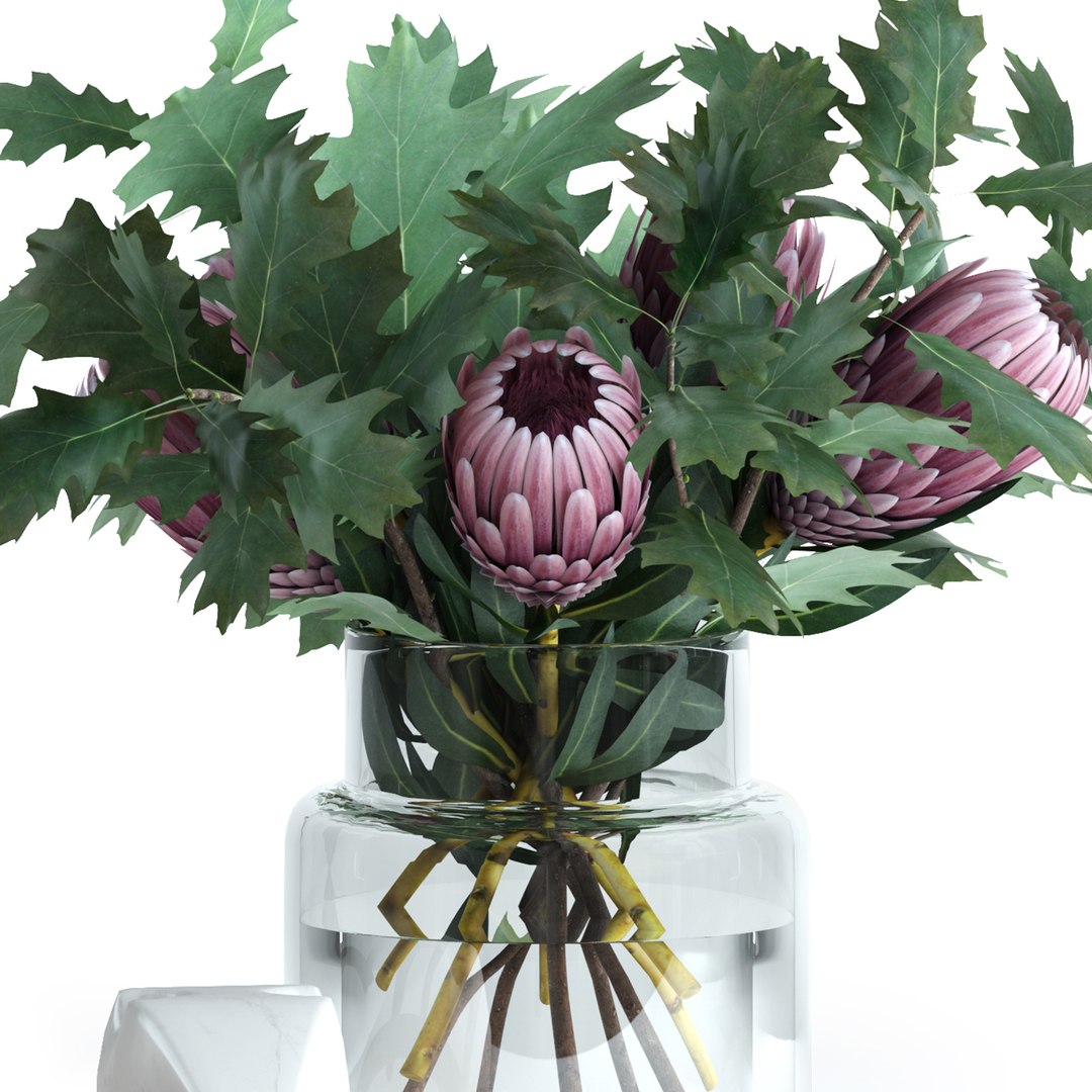 3D Realistic Glass Oak Proteas Model - TurboSquid 1226448