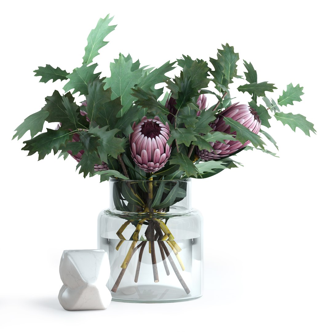 3D Realistic Glass Oak Proteas Model - TurboSquid 1226448