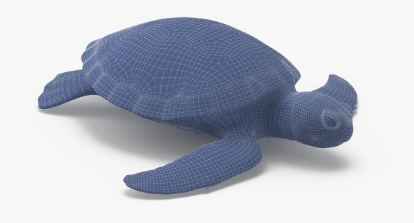 sea turtle rigged 3d model