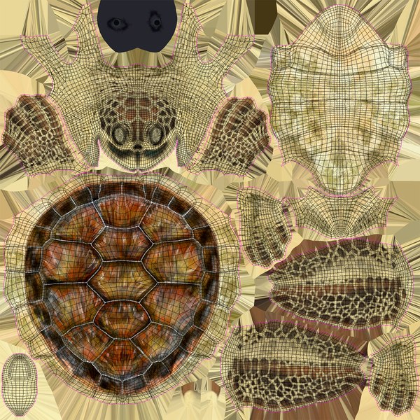 sea turtle rigged 3d model