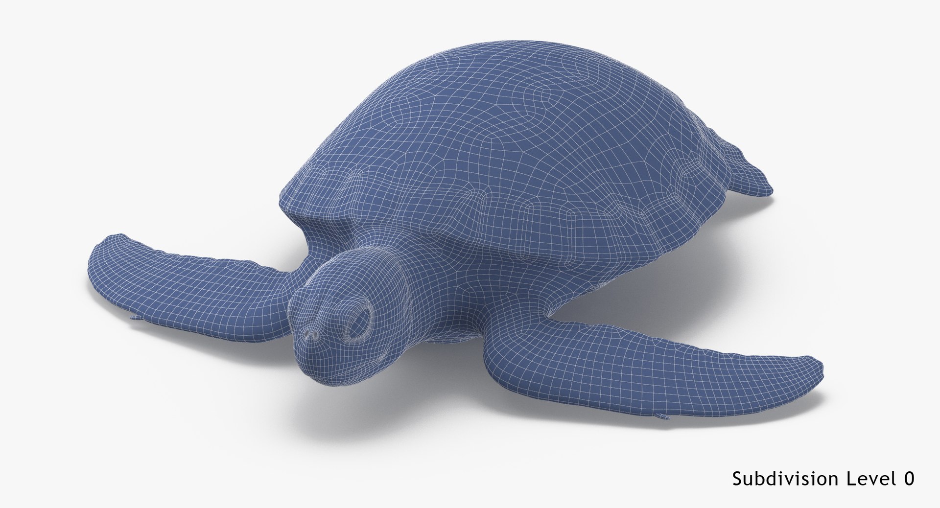 sea turtle rigged 3d model