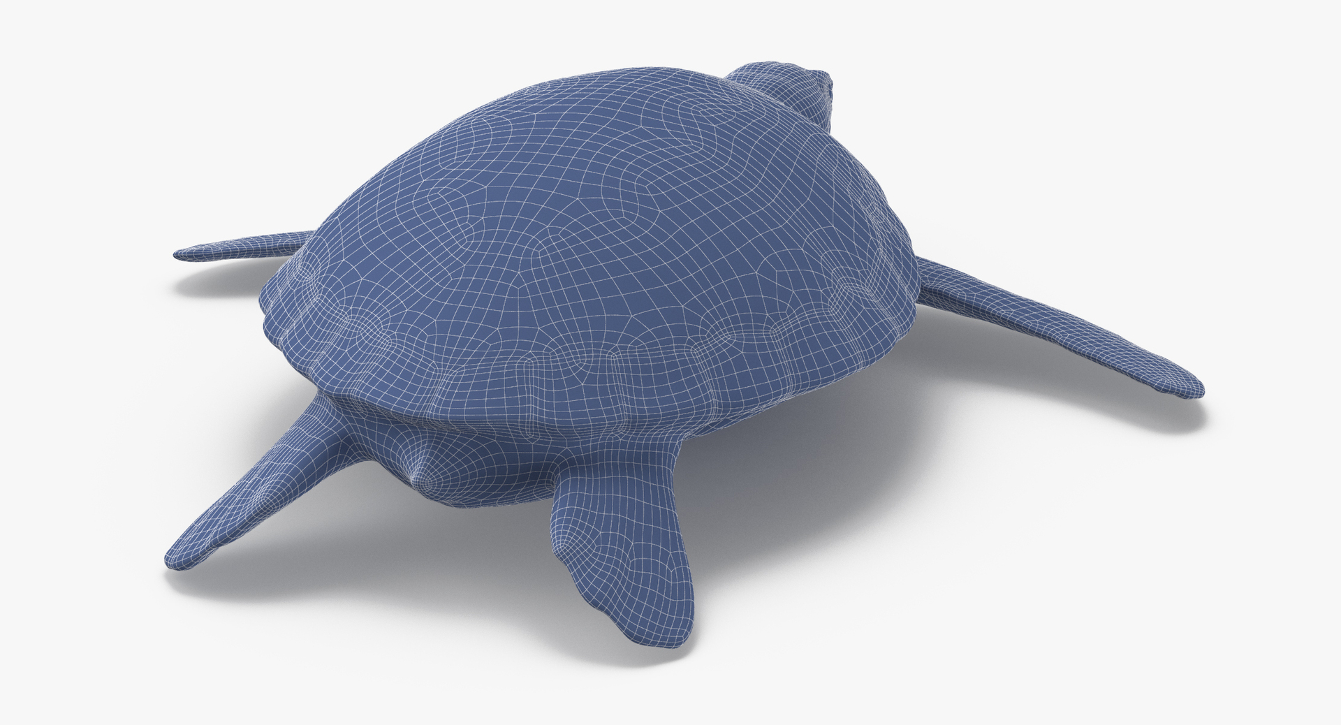 sea turtle rigged 3d model